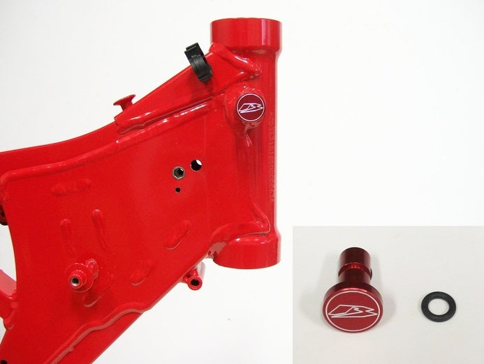 Beta (10-19) Steering Lock Plug – Sierra Motorcycle Supply